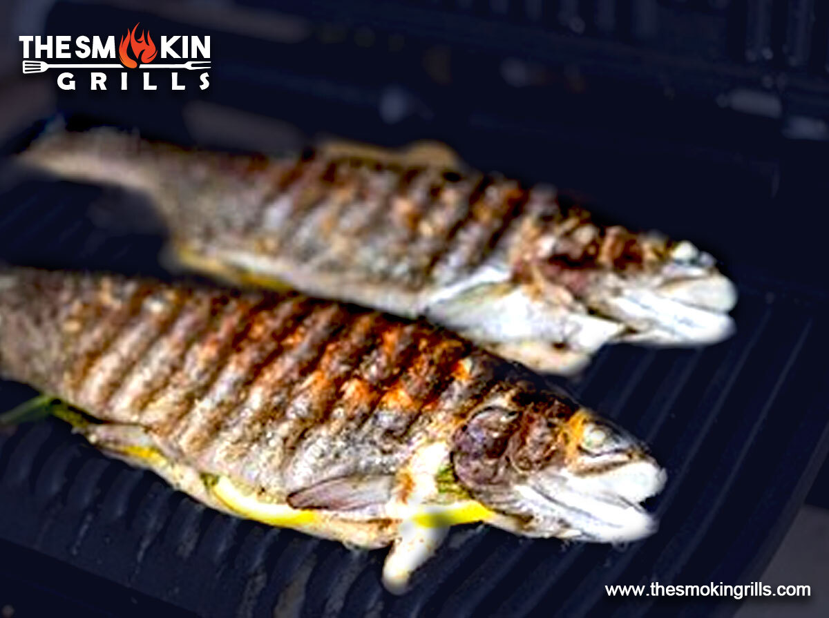 How to Grill Fish on Electric Grill – Guide for Perfect Grilled Fish